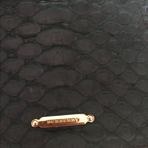 Burberry | Bags | Burberry Python Emerald Green Clutch Crossbody | Poshmark